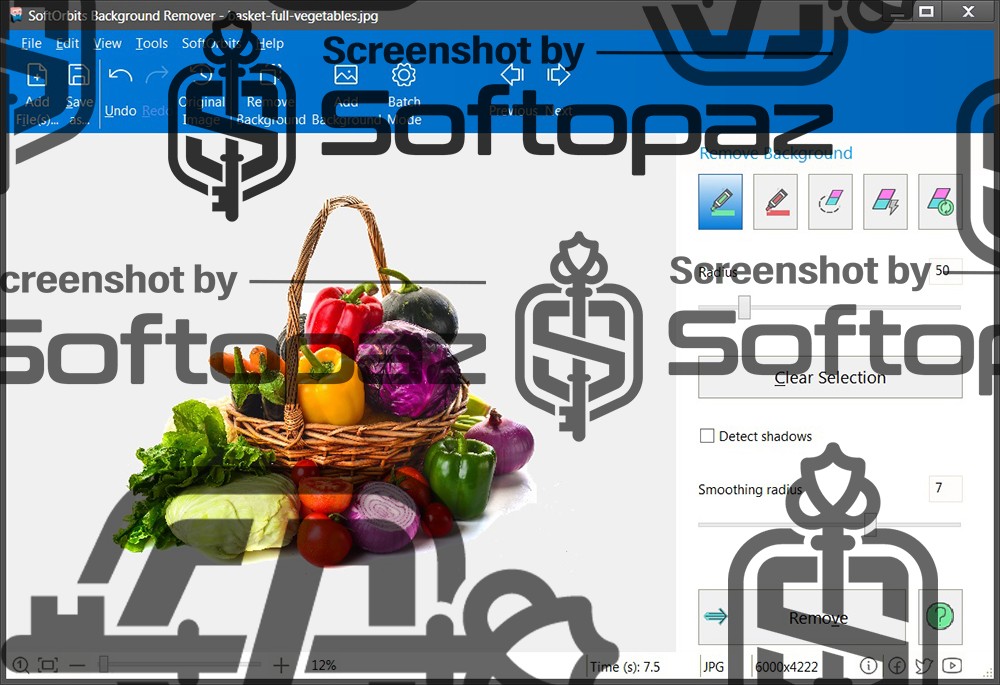 SoftOrbits Photo Background Remover: BUY -50% or FREE?